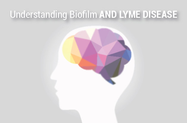 Understanding Biofilm and Lyme Disease - Lyme-int - Lyme disease worldwide